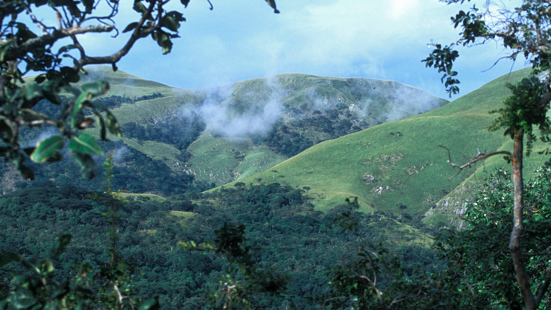 Gombe National Park | https://www.grandafricaexperiences.com