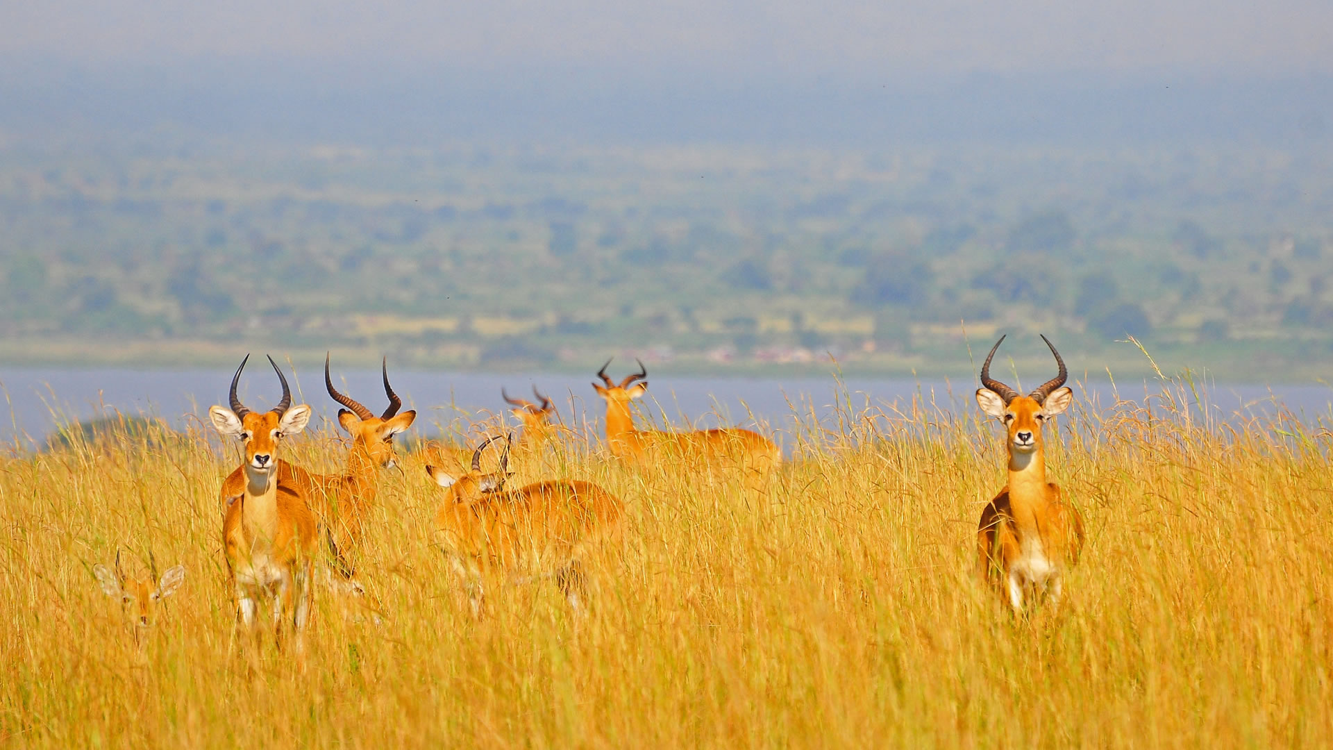 Lake Manyara National Park | https://www.grandafricaexperiences.com